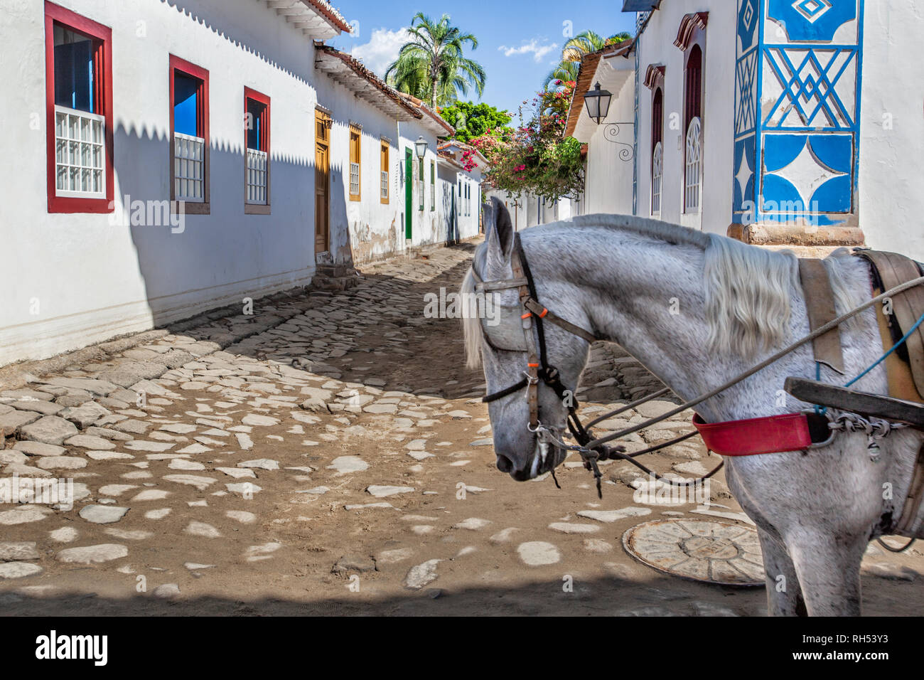 Street and old portuguese colonial houses in historic downtown in ...