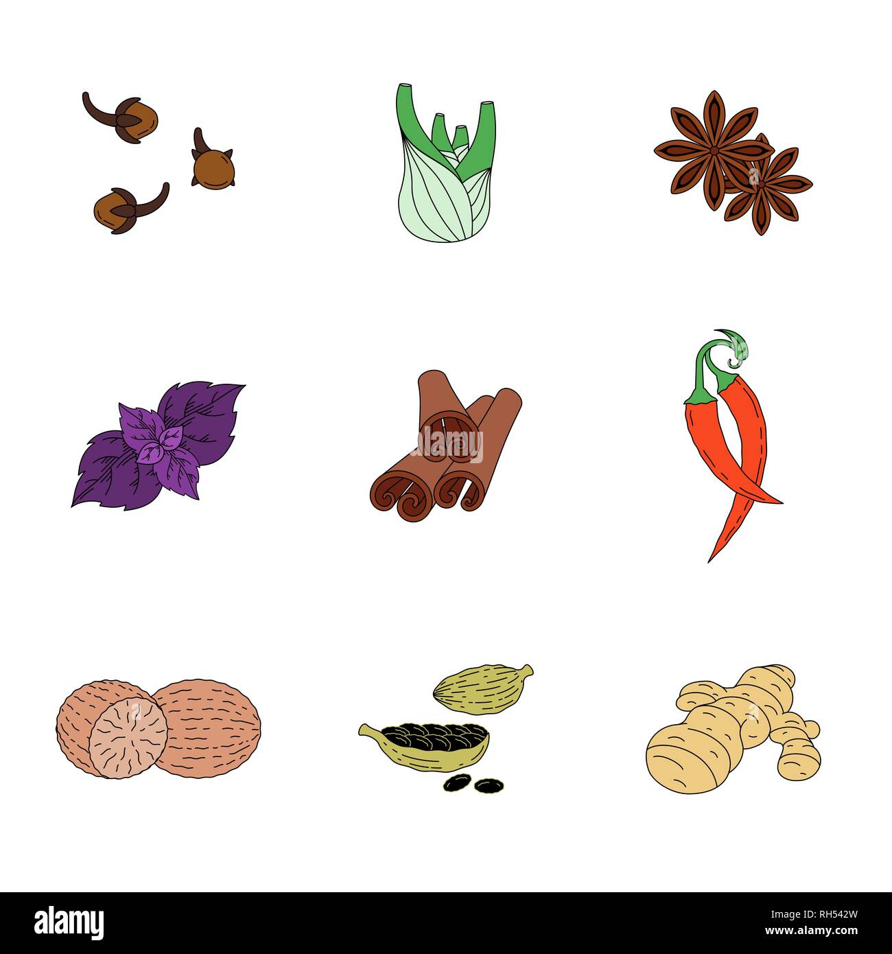 Spices vector vectors hi-res stock photography and images - Alamy