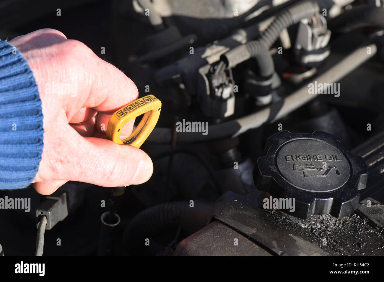 person topping up oil on vehicle engine Stock Photo - Alamy