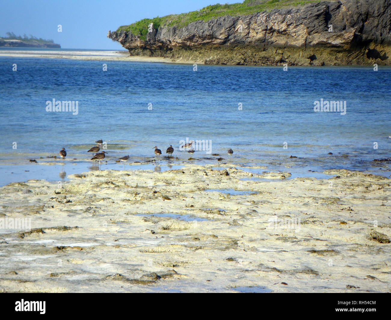 Watamu Beach Close To Malindi Kenya Stock Photo Alamy