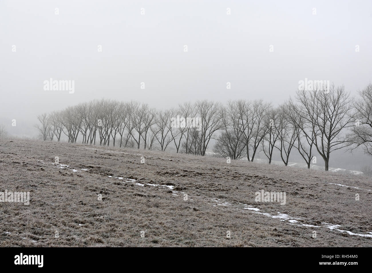 air, beauty, weather, earth, spring, winter, natural, natur, nature ...