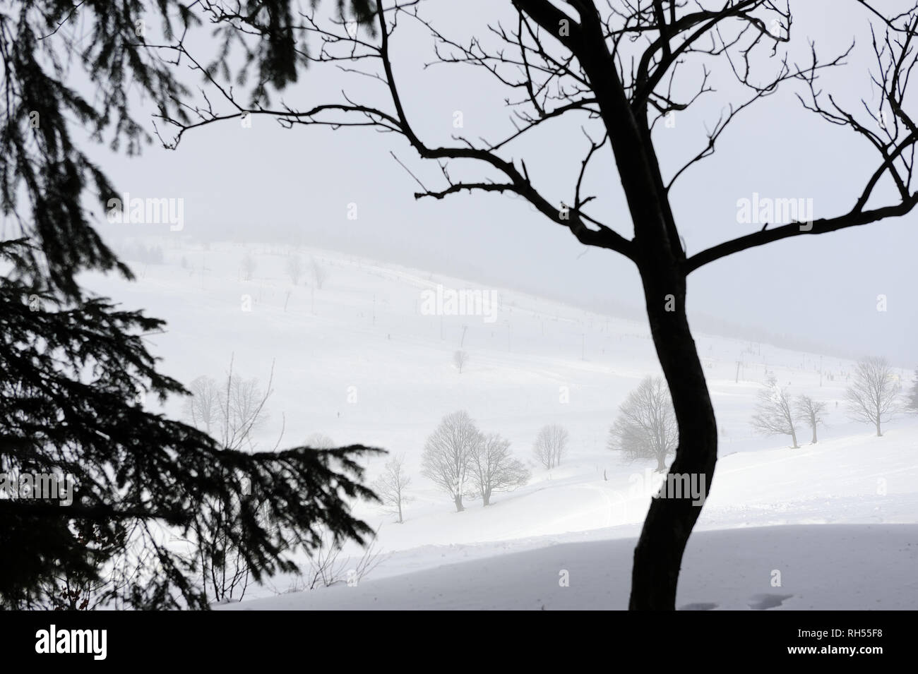 Atmospheric season hi-res stock photography and images - Alamy