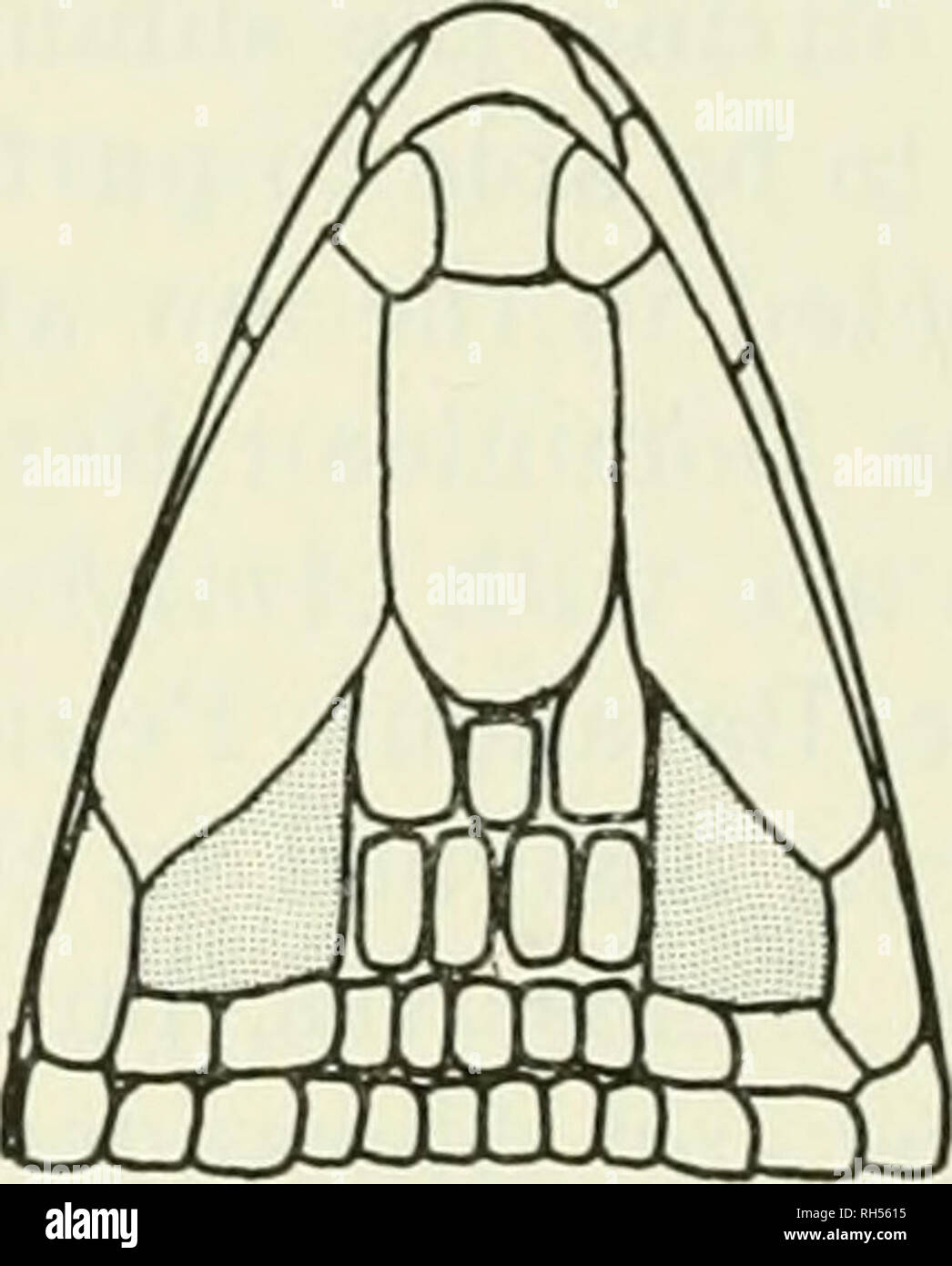 Inter penetration hi-res stock photography and images - Alamy
