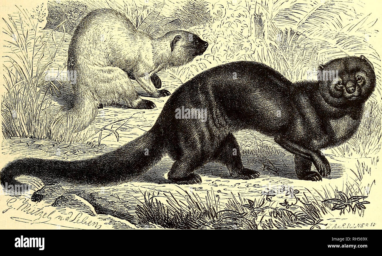 Barbara grau hi-res stock photography and images - Alamy