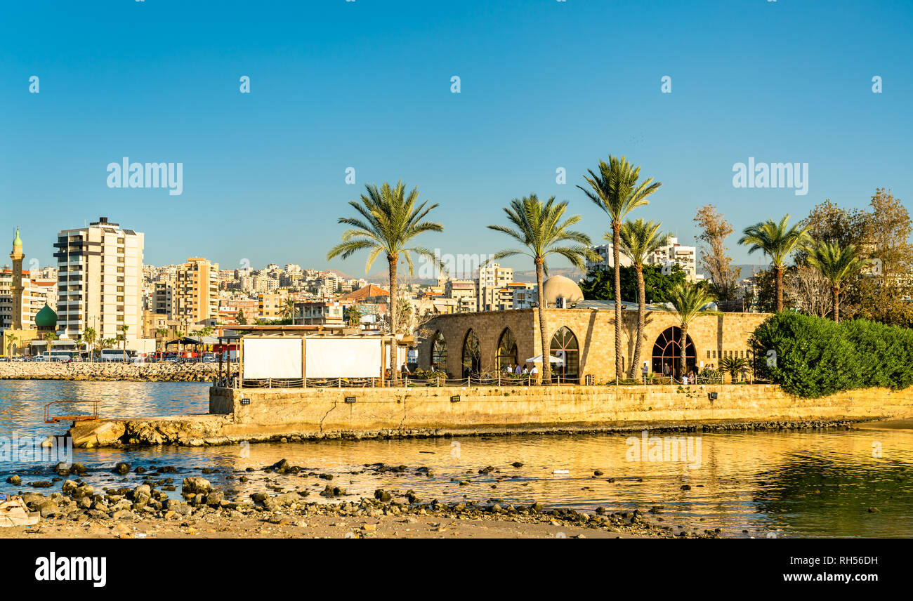 Mosque sidon saida lebanon hi-res stock photography and images - Alamy