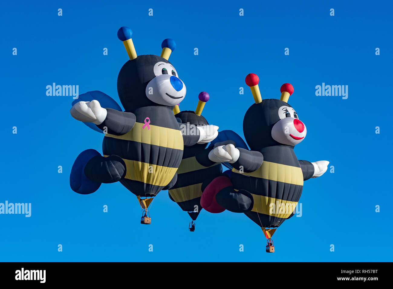 Bumble Bees Hot Air Balloon Stock Photo - Alamy