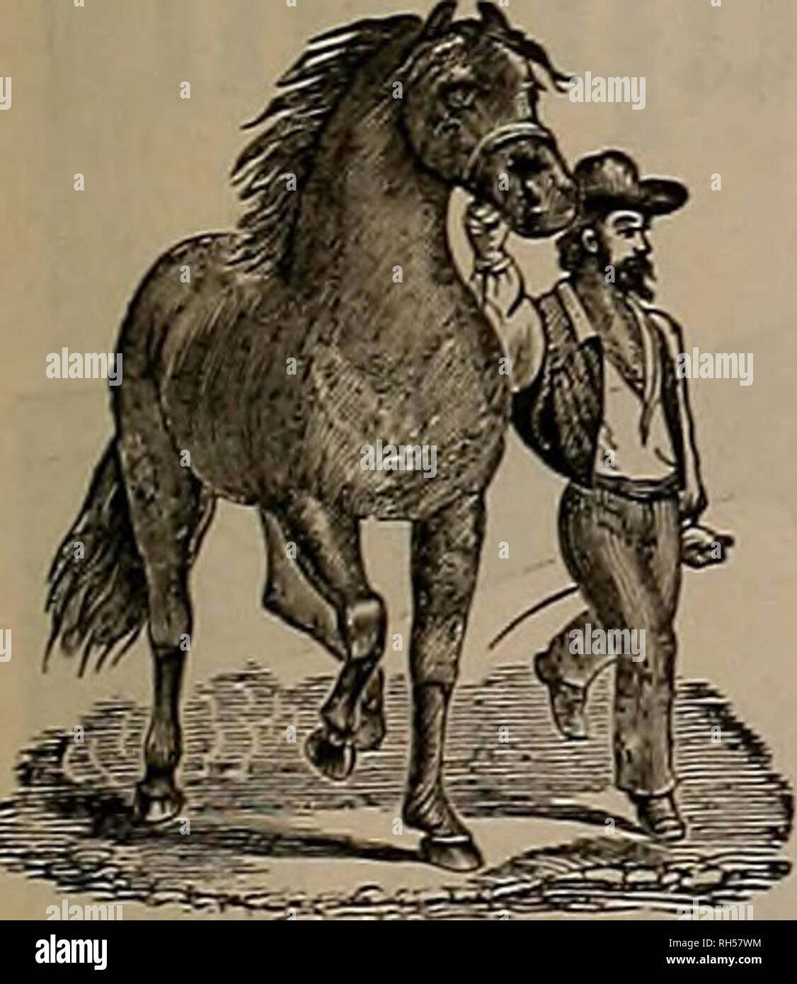 . Breeder and sportsman. Horses. April. 1919] THE BREEDER AND SPORTSMAN ...