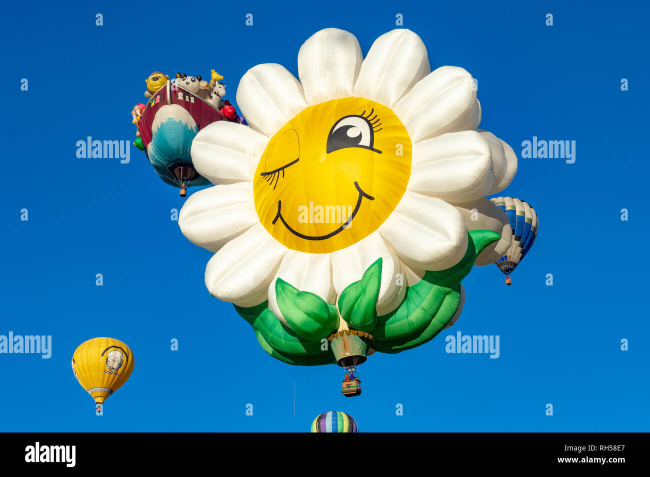 Sunflower hot air balloon hi-res stock photography and images - Alamy