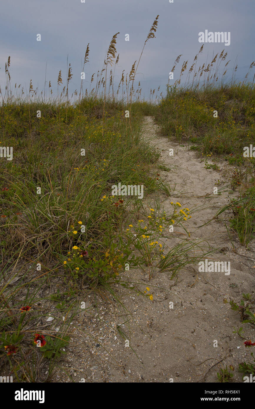 Masonboro hi-res stock photography and images - Alamy