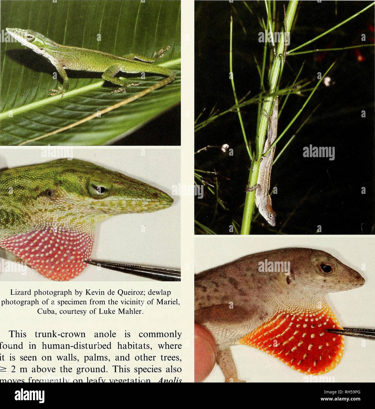 Mariel cuba hi-res stock photography and images - Alamy