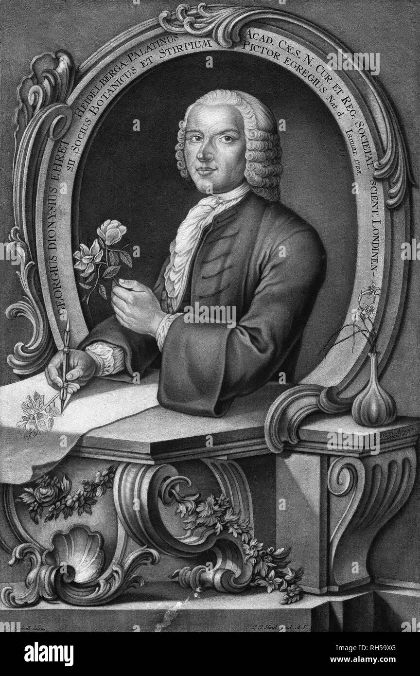 GEORG EHRET (1708-1770) German botanist and entomologist Stock Photo ...