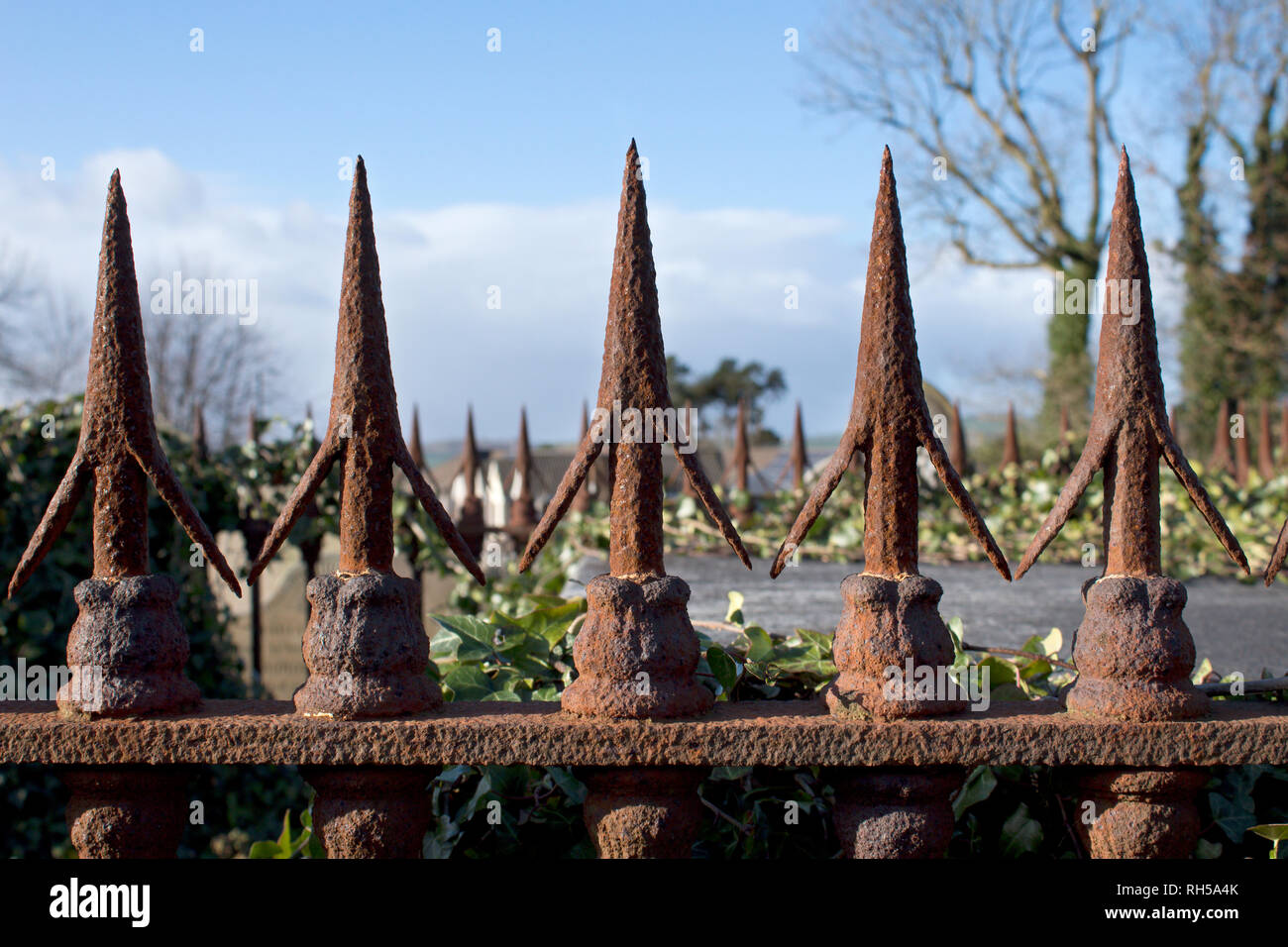 Ornate ironwork railings surrounding plots in graveyard Stock Photo - Alamy