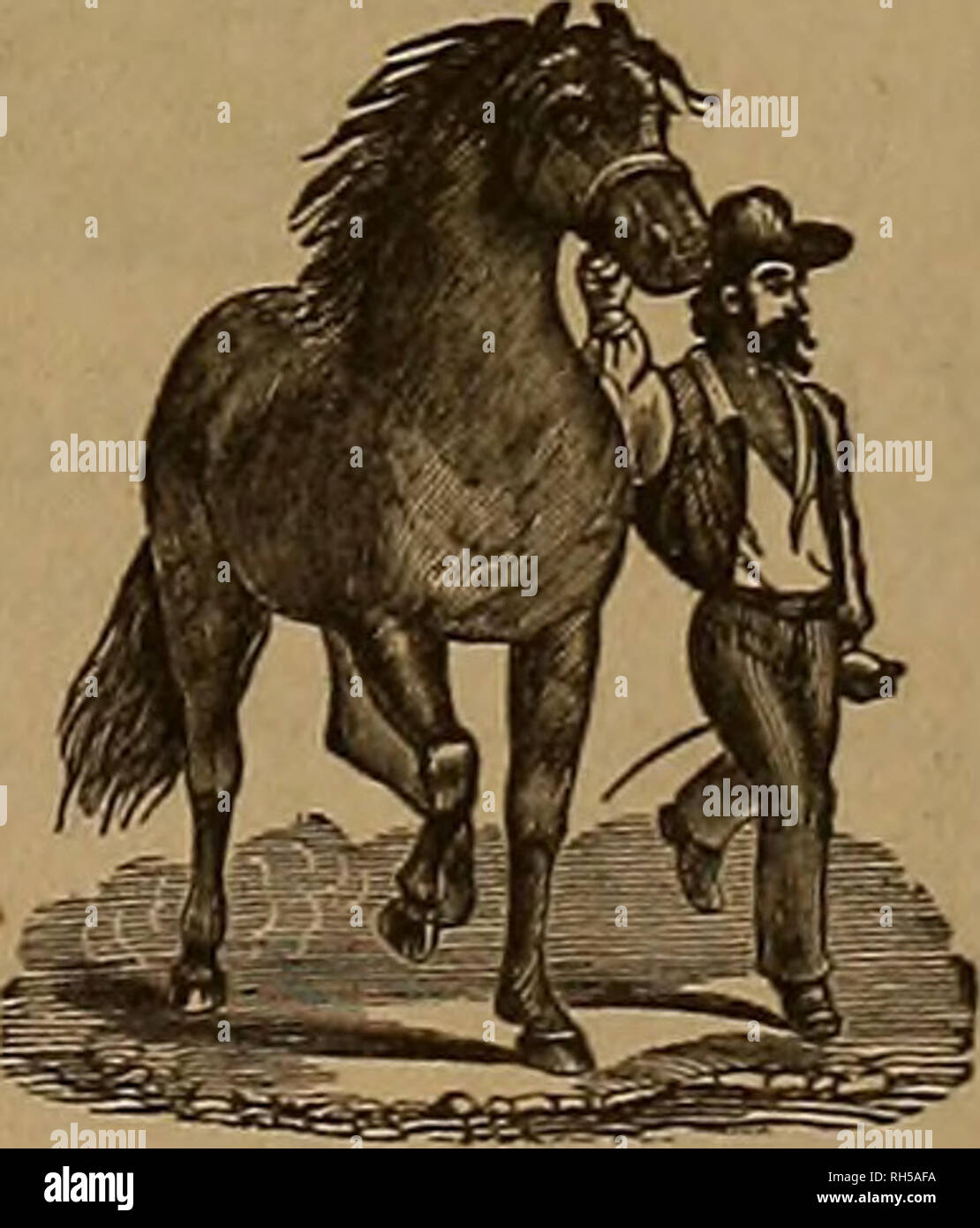 Dr falls body hi-res stock photography and images - Alamy