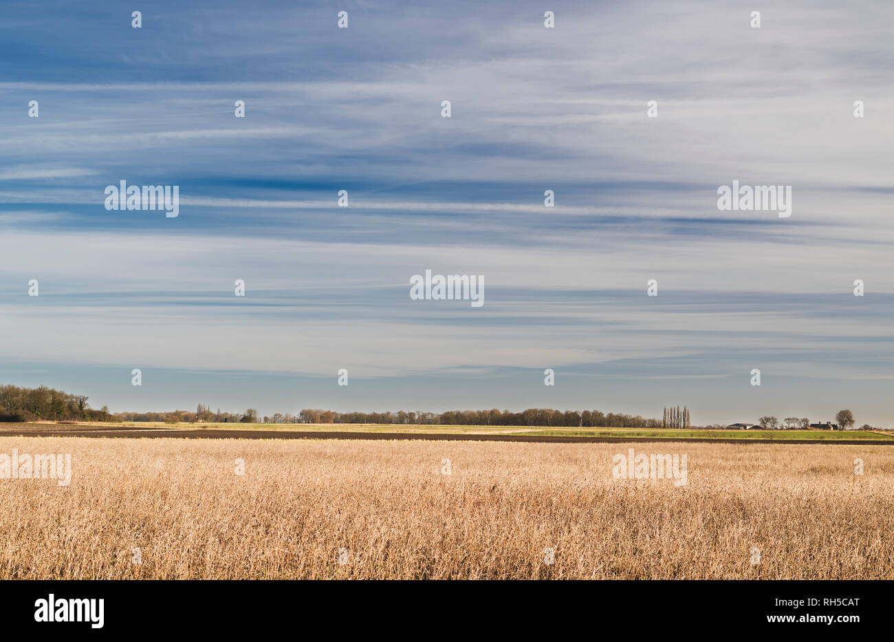 Fenland landscape hi-res stock photography and images - Alamy