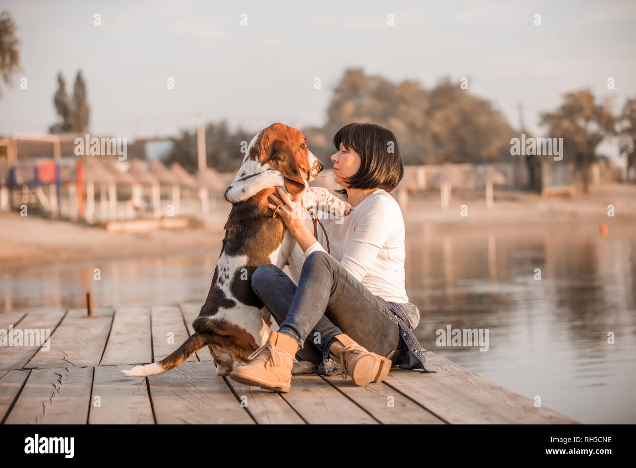 Young beautiful woman having great time with her dog Basset Hound while ...