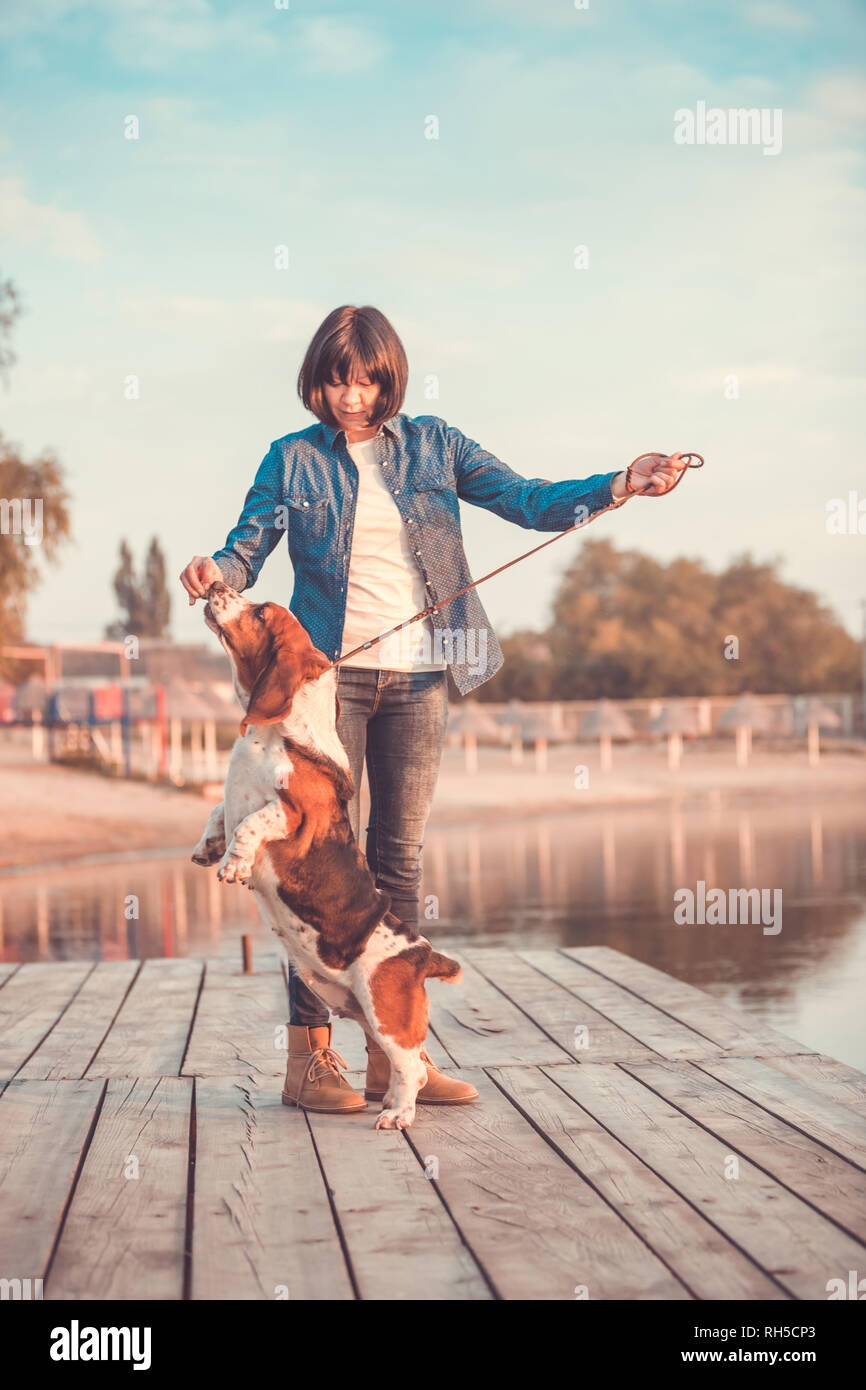 View of young woman holding hand up and playing with her dog Basset ...
