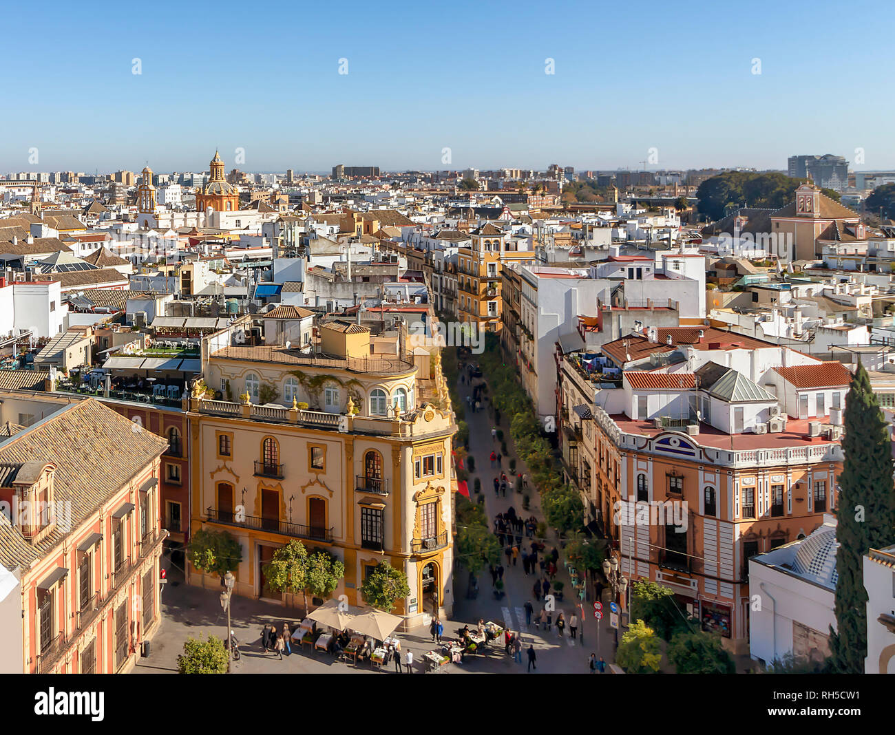 Sevilla Orange High Resolution Stock Photography and Images - Alamy