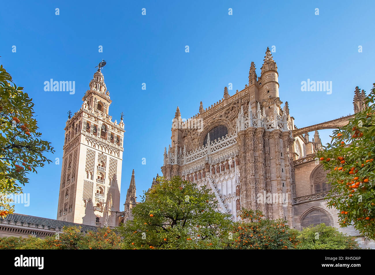 Sevilla Orange High Resolution Stock Photography and Images - Alamy