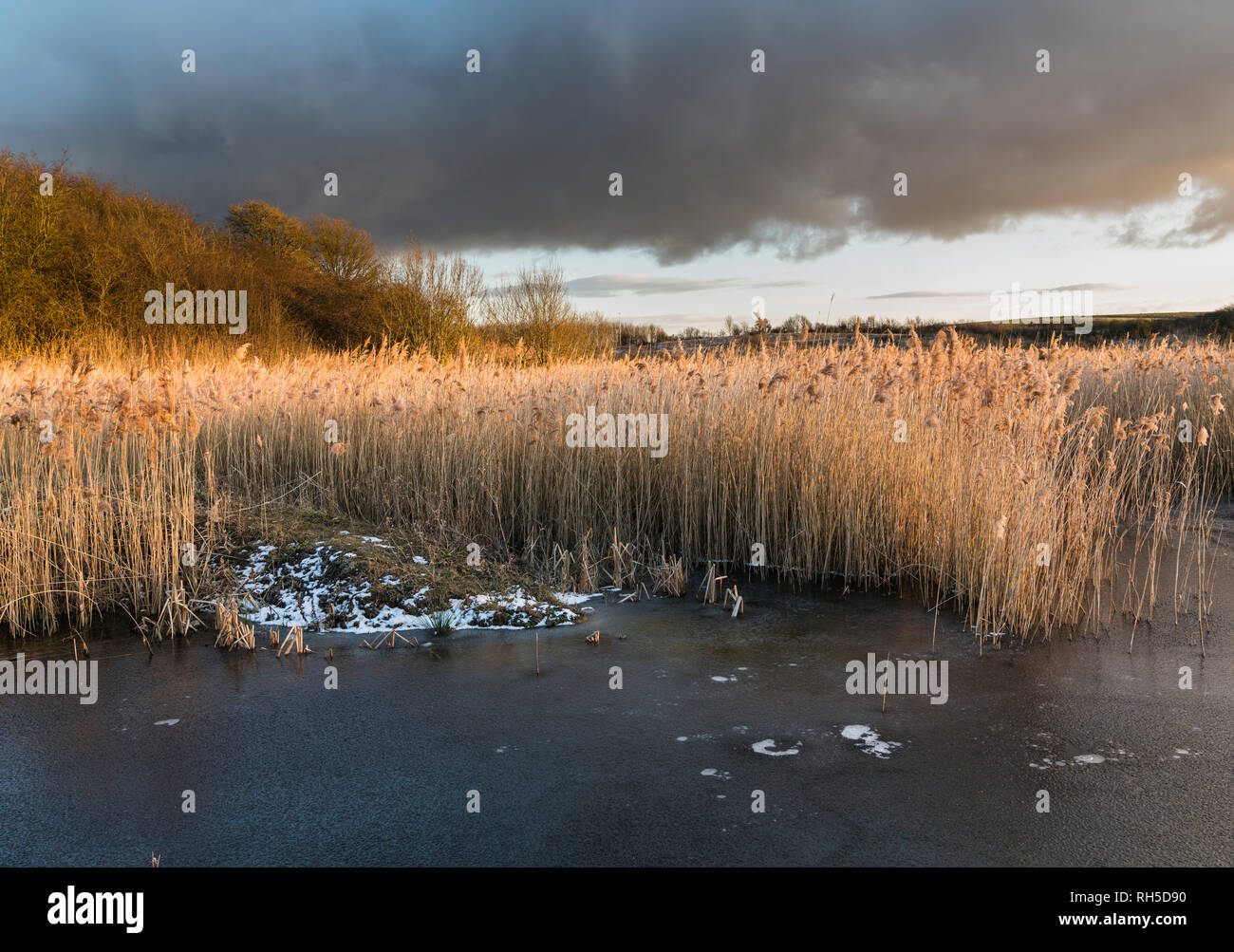 A cold winter day at Star Pit Local Nature Reserve, a former brick pit ...