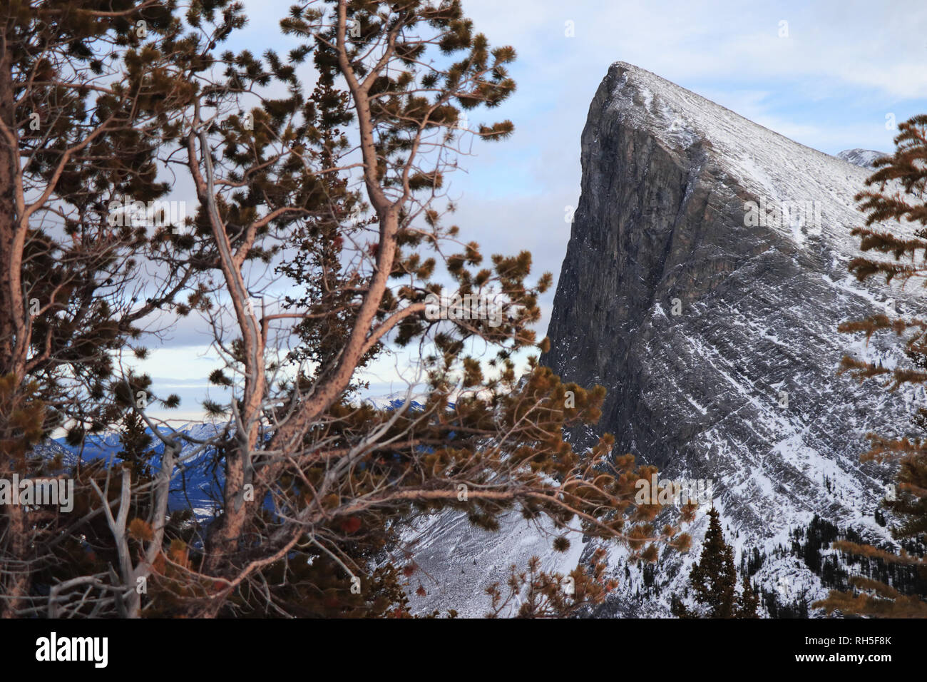 Mount Ha Ling from East End of Rundle trail, Canmore, Alberta, Canada ...