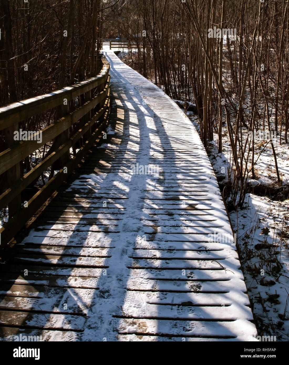 A wooden walkway in Frick Park, Pittsburgh, Pennsylvania, USA covered ...