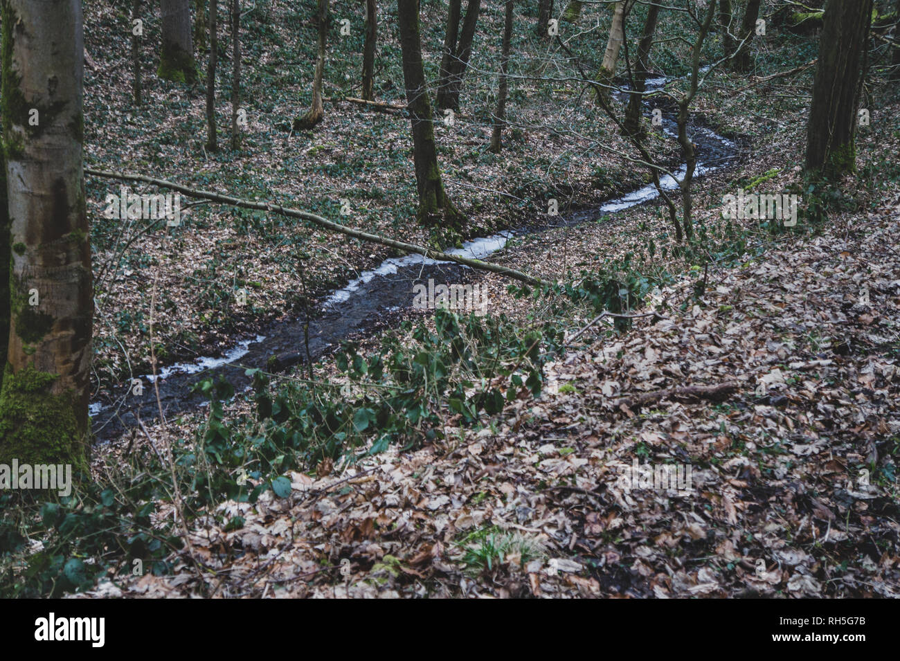 Autumn season frozen lake hi-res stock photography and images - Alamy