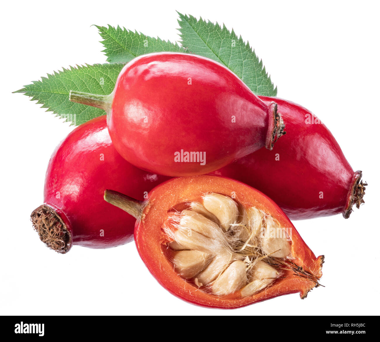 Wild rose berries hi-res stock photography and images - Alamy
