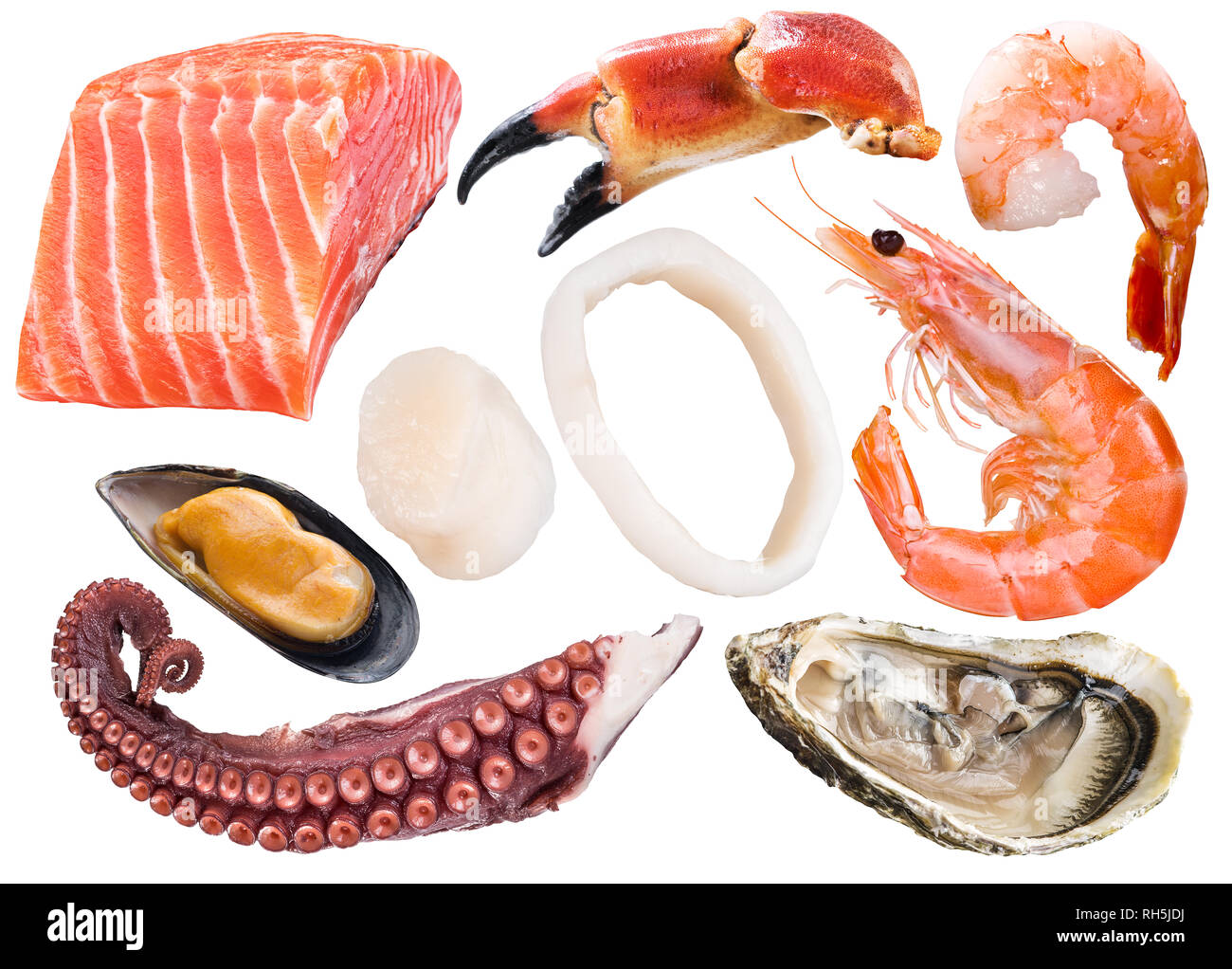 Different seafood pieces on white background. File contains clipping ...