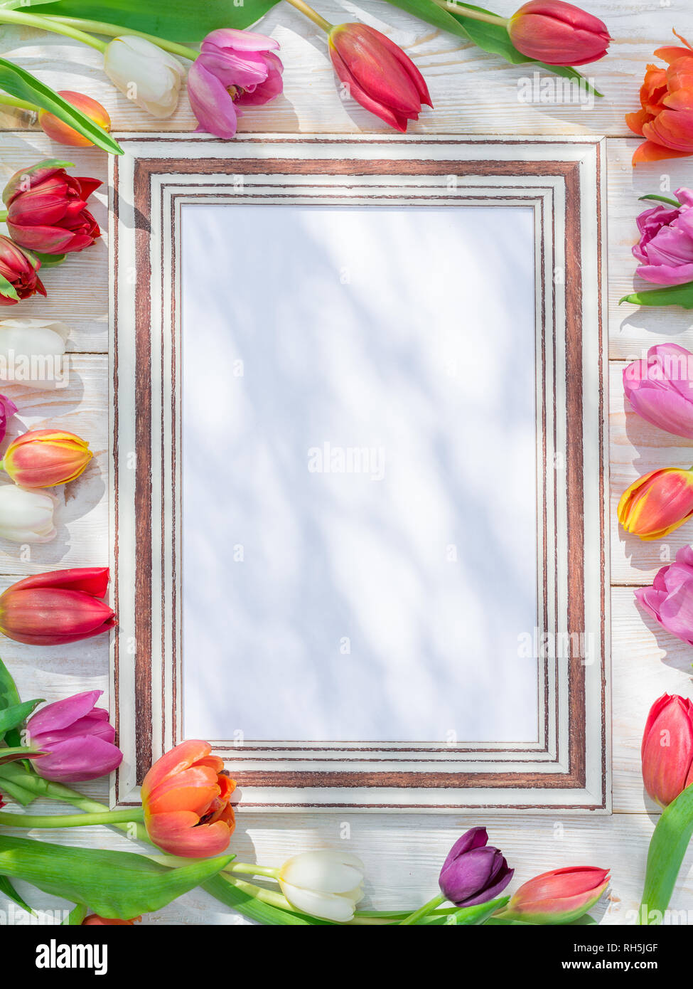 Colorful tulips around wooden frame in spring sunlights. Spring ...