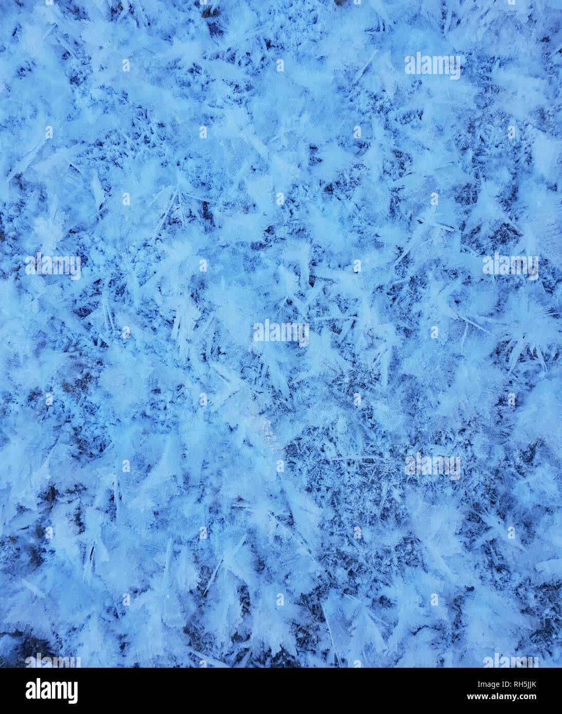 Form beautiful hi-res stock photography and images - Alamy