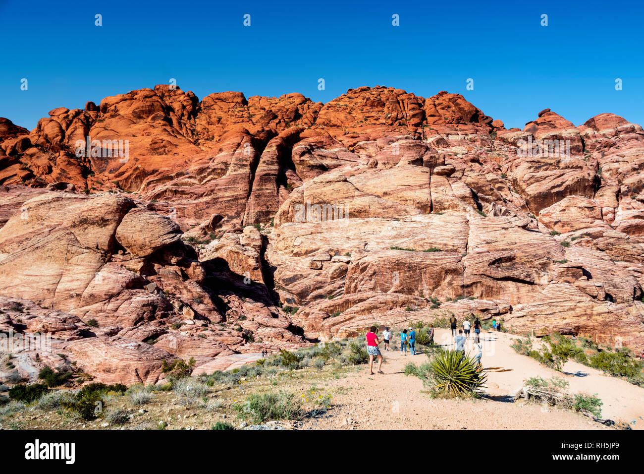 Red Rock Canyon, Las Vegas, Nevada, USA Stock Photo - Alamy