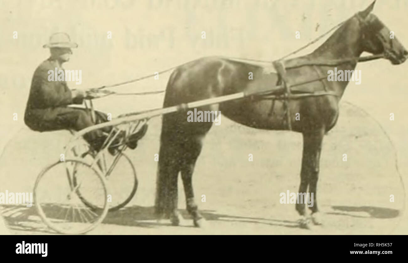 . Breeder and sportsman. Horses. Toomey Two=Wheelers Are the ...