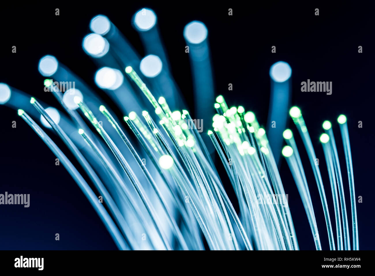Bundle of optical fibers with lights in the ends. Blue background Stock ...