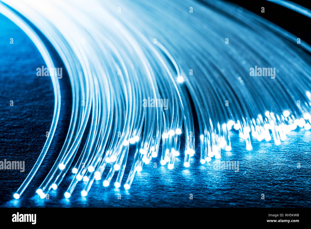 Bundle of optical fibers with lights in the ends. Blue background Stock ...