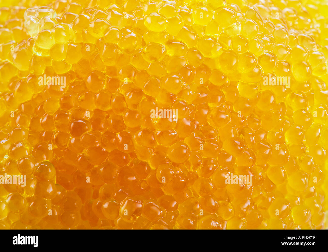 Pike picture hi-res stock photography and images - Alamy