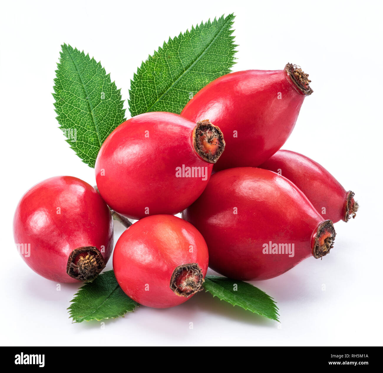 Rose-hips with rose leaves isolated on a white background Stock Photo ...