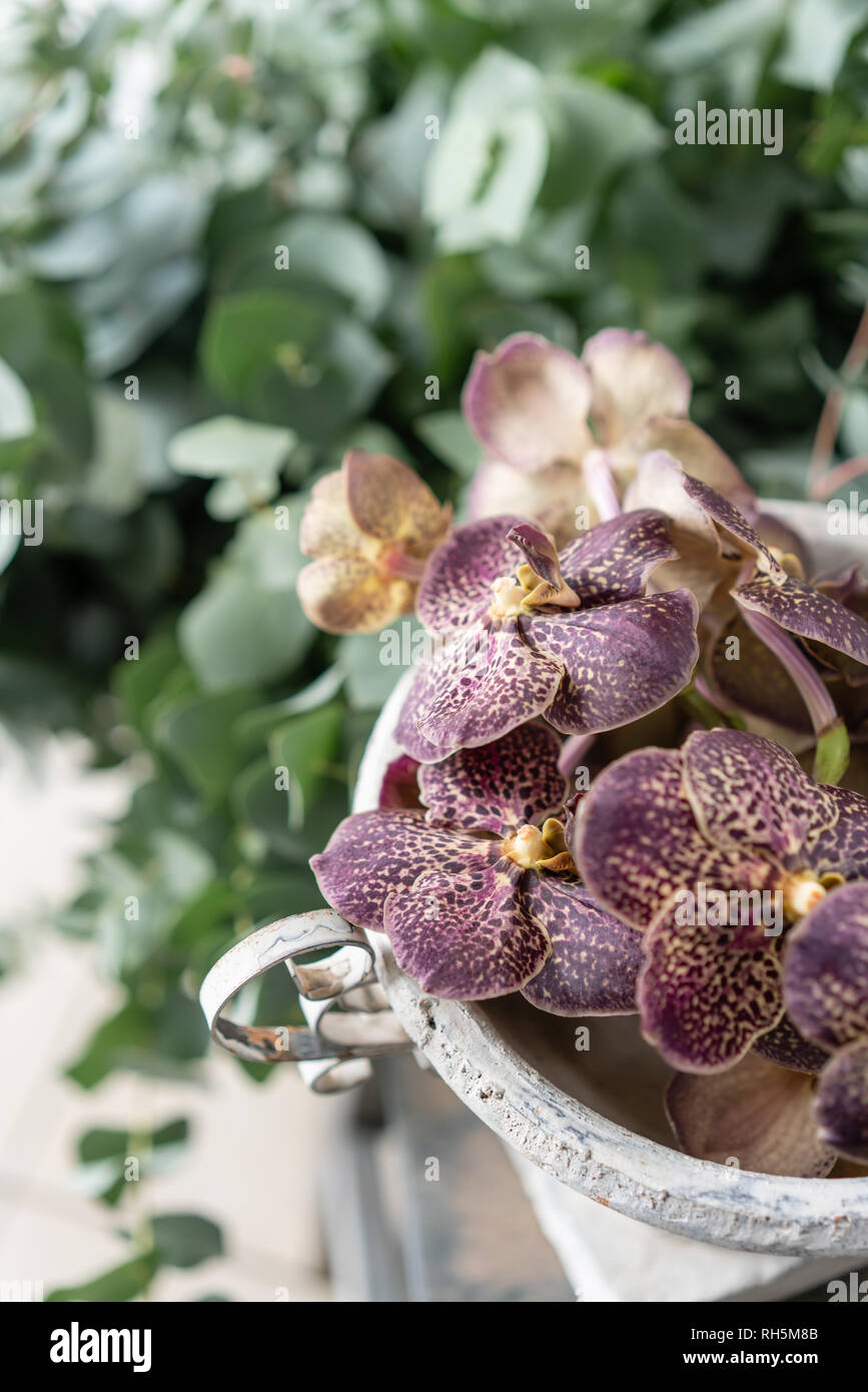 Dark Purple Orchids Bouquet