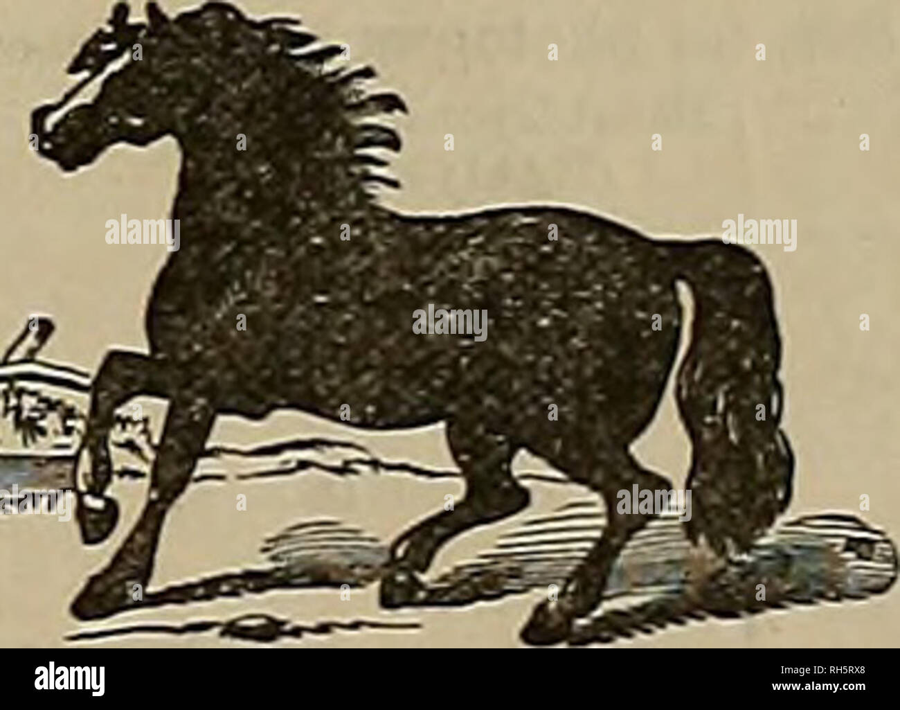 . Breeder and sportsman. Horses. 1889 2Â£fipe ^xzz&zx and j$poxtsxtmn ...