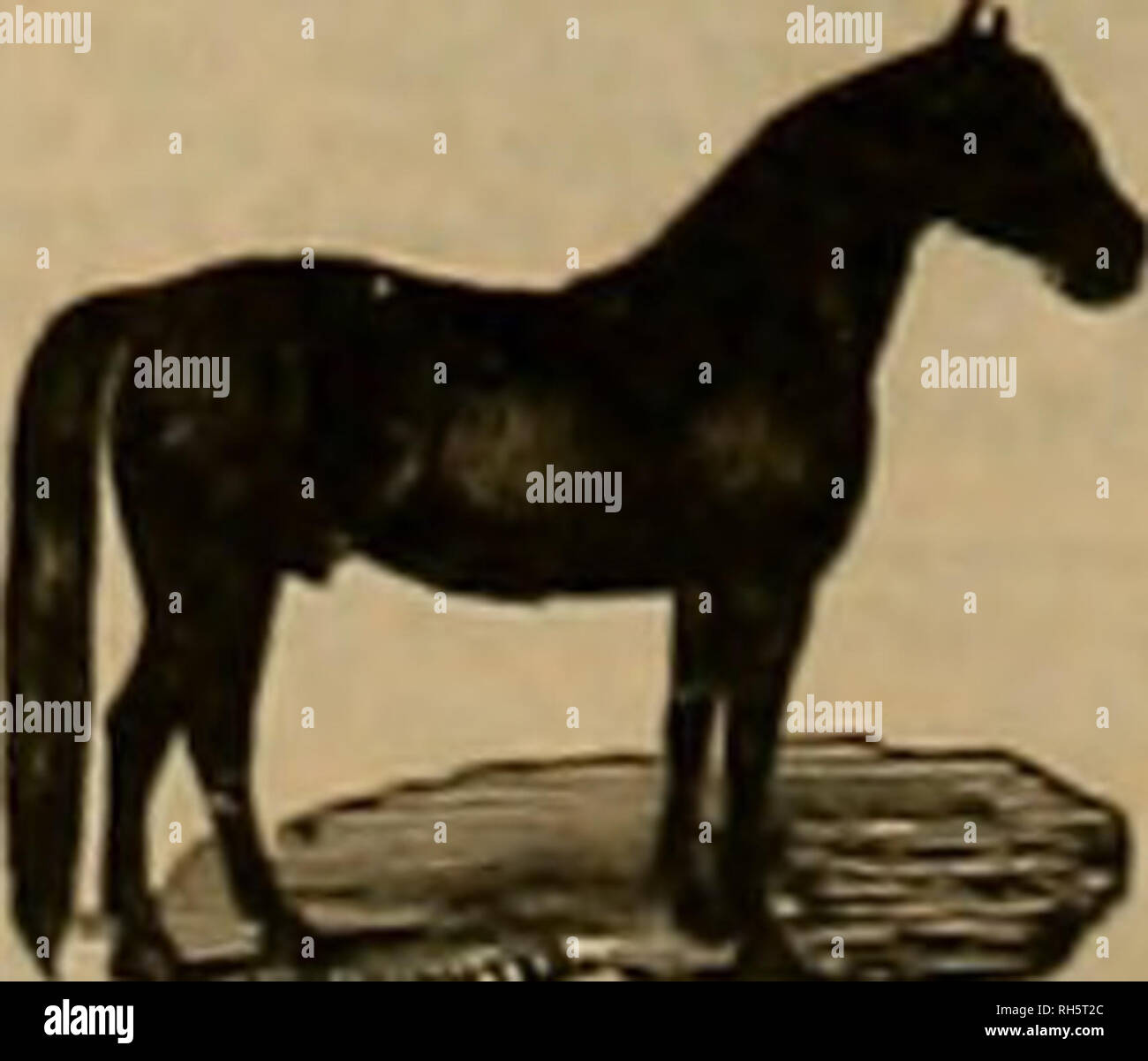 Pnld hi-res stock photography and images - Alamy