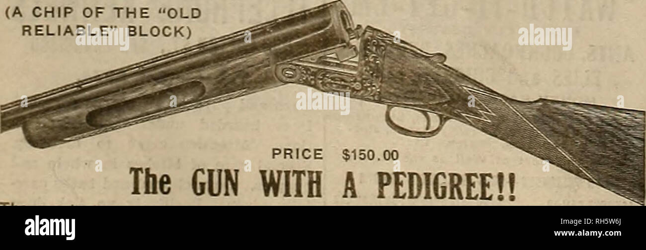 . Breeder and sportsman. Horses. The primer flash in a shotgun shell is ...