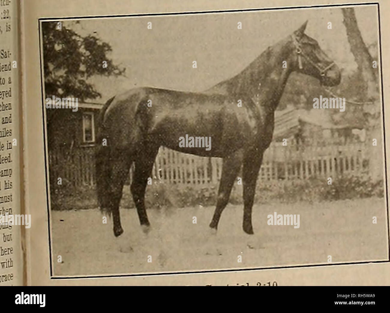 Private f l barnes hi-res stock photography and images - Alamy