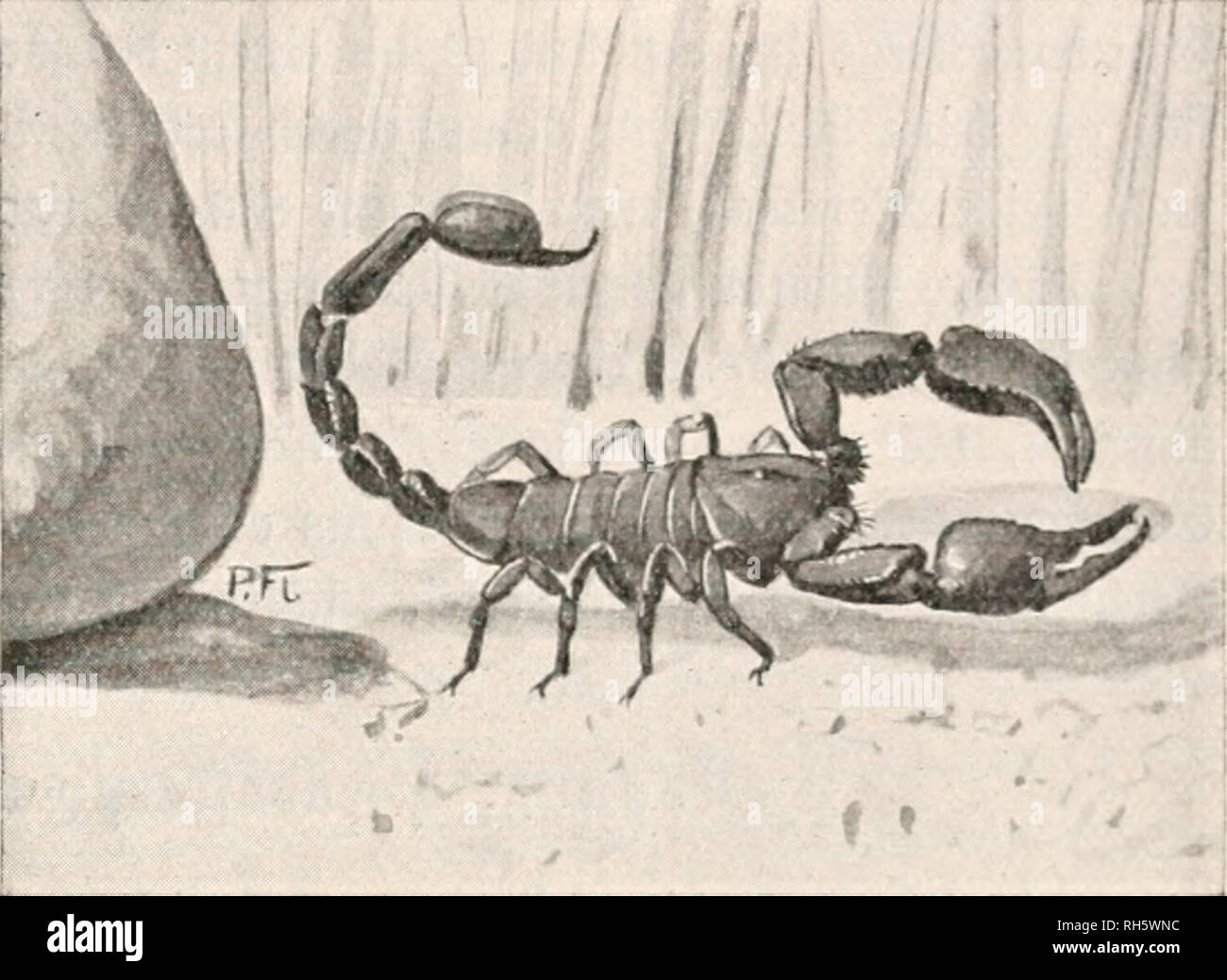 647 fss hi-res stock photography and images - Alamy