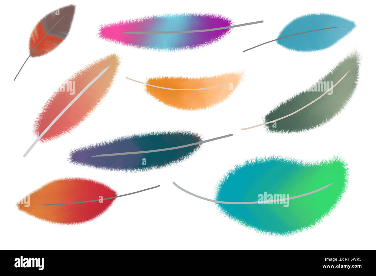 Hand drawn colorful feathers isolated on white Stock Photo - Alamy