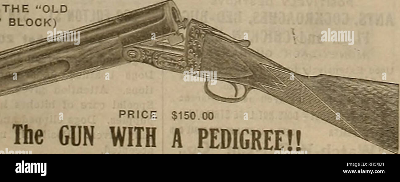 Iron Flintlock High Resolution Stock Photography and Images - Alamy