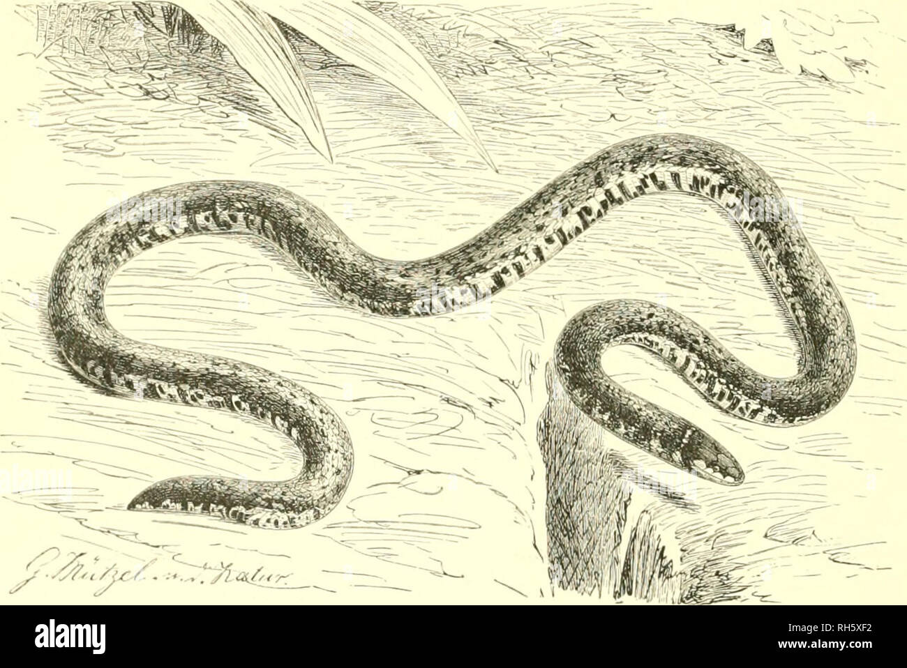 3d familie hi-res stock photography and images - Alamy