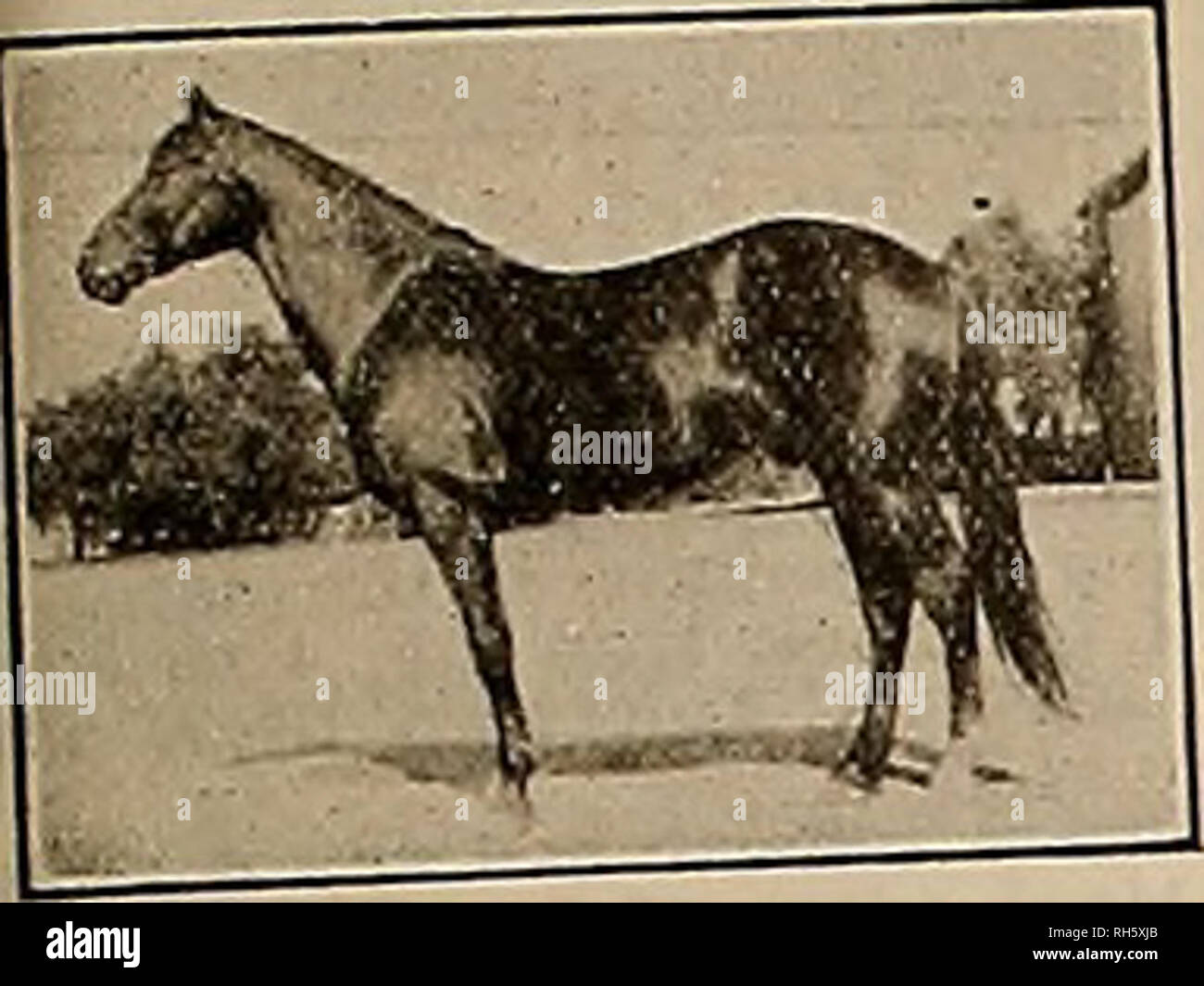 Licensed content hi-res stock photography and images - Alamy