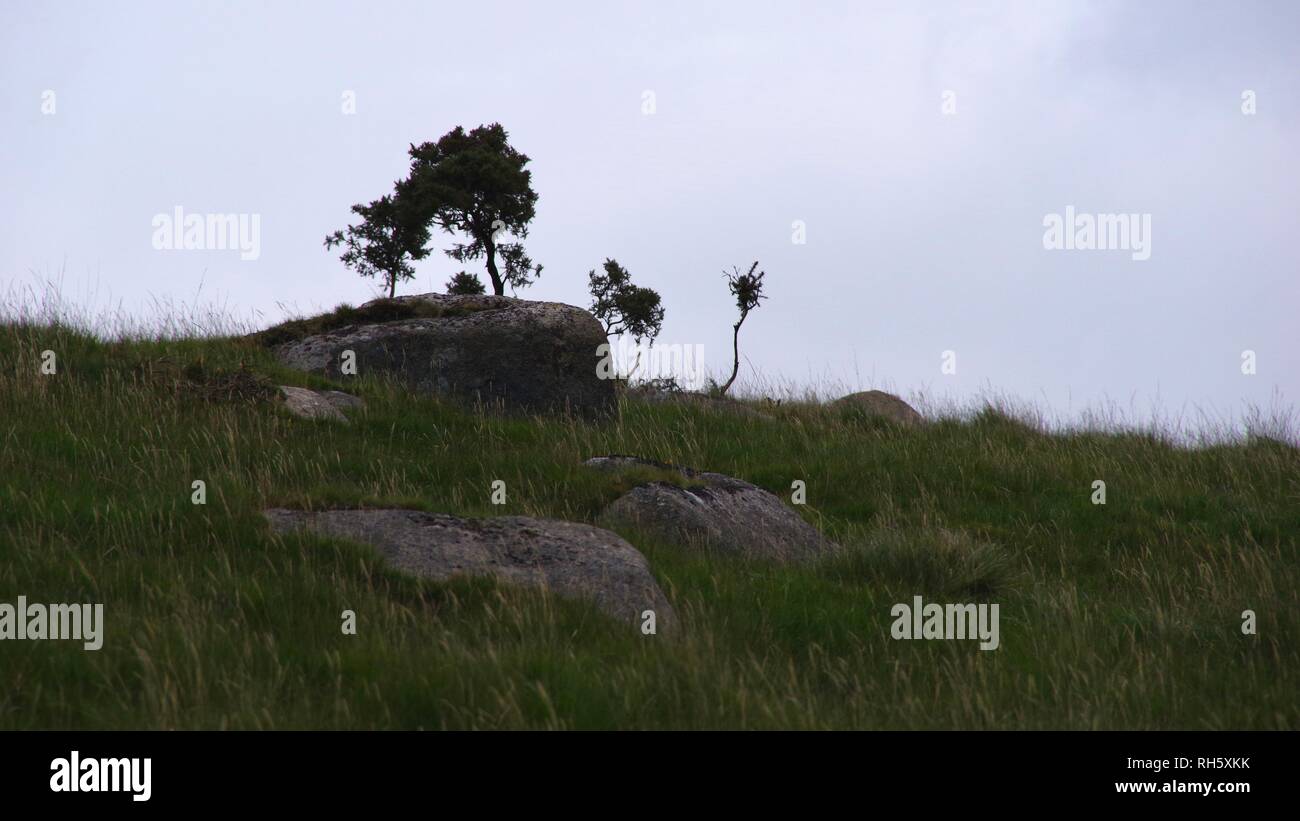 Gorse hill nature reserve hi-res stock photography and images - Alamy