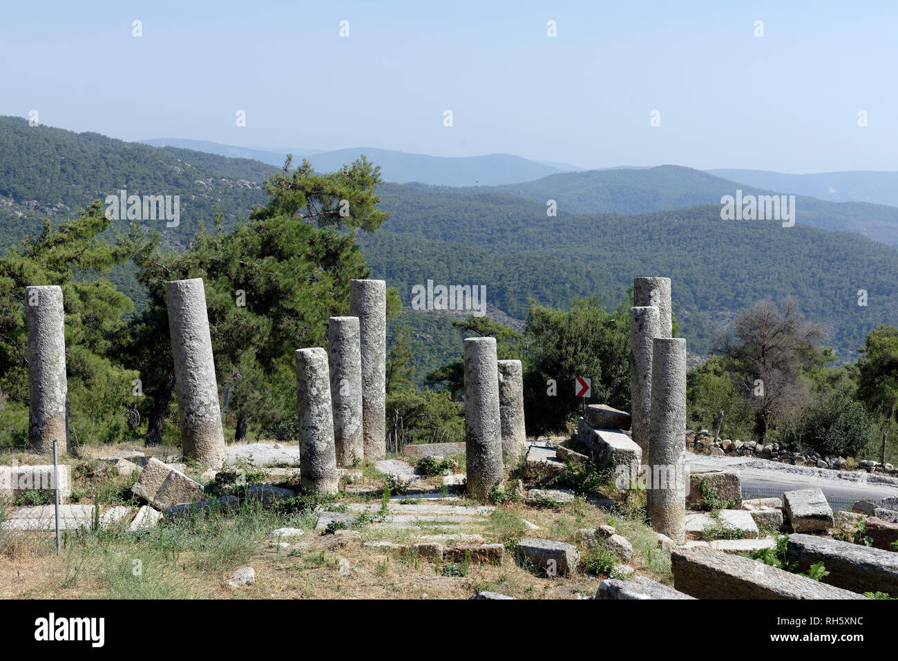 The columns that supported the roof of the Hypostyle structure ...