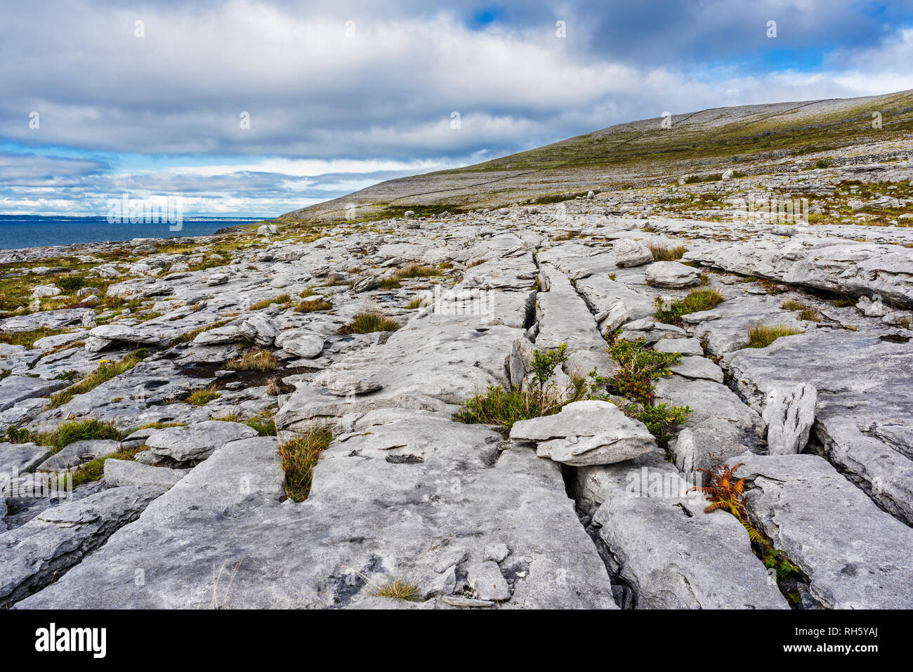 Bay burren limestone pavement hi-res stock photography and images - Alamy