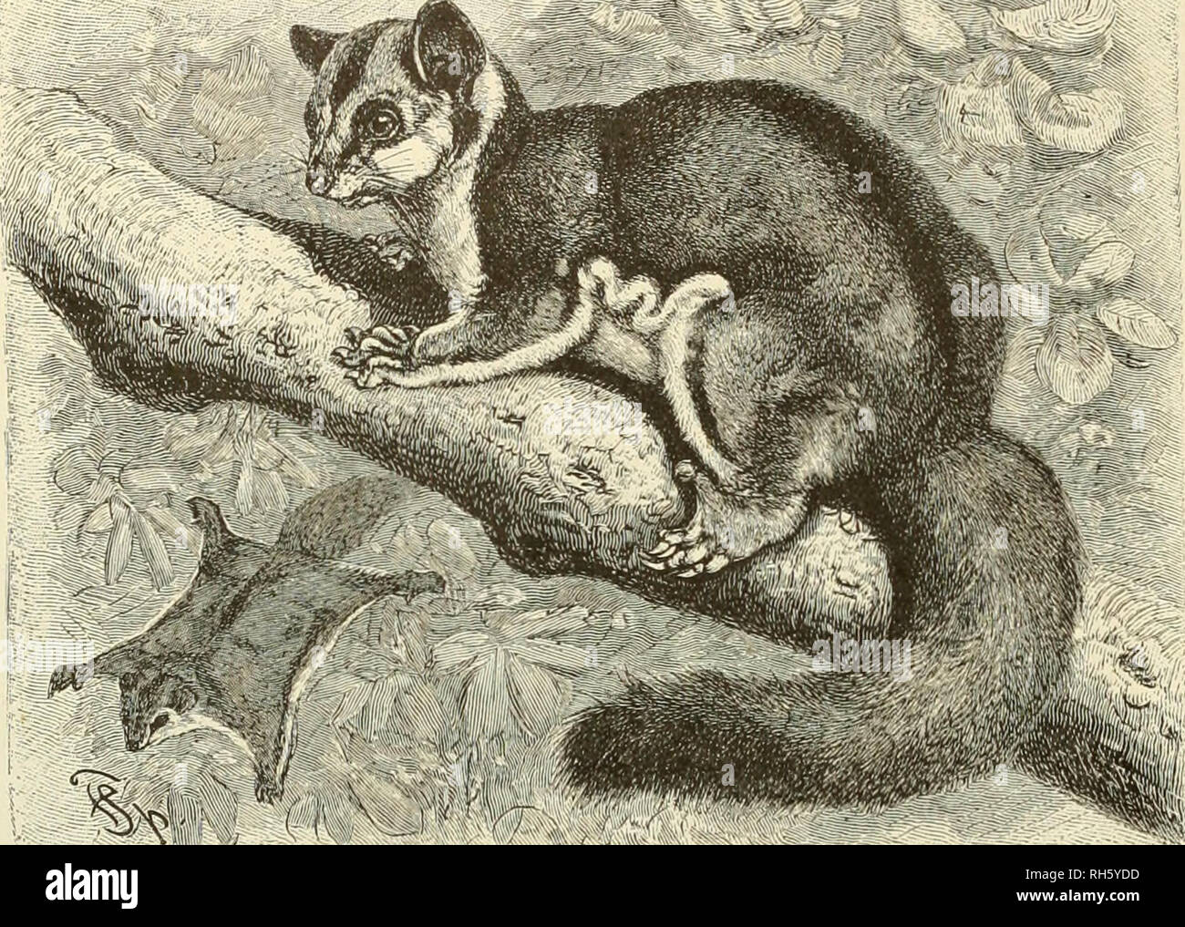 Physical conformation hi-res stock photography and images - Alamy